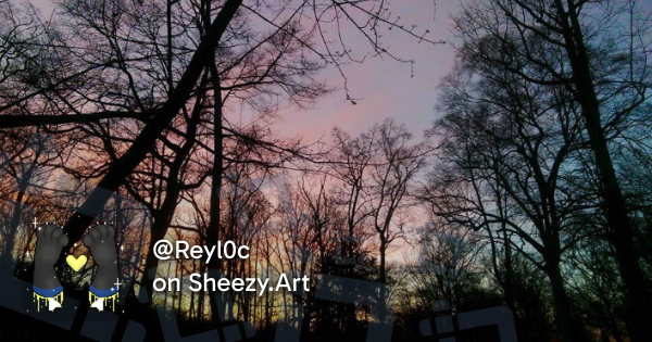 @Reyl0c's Profile – Sheezy.Art