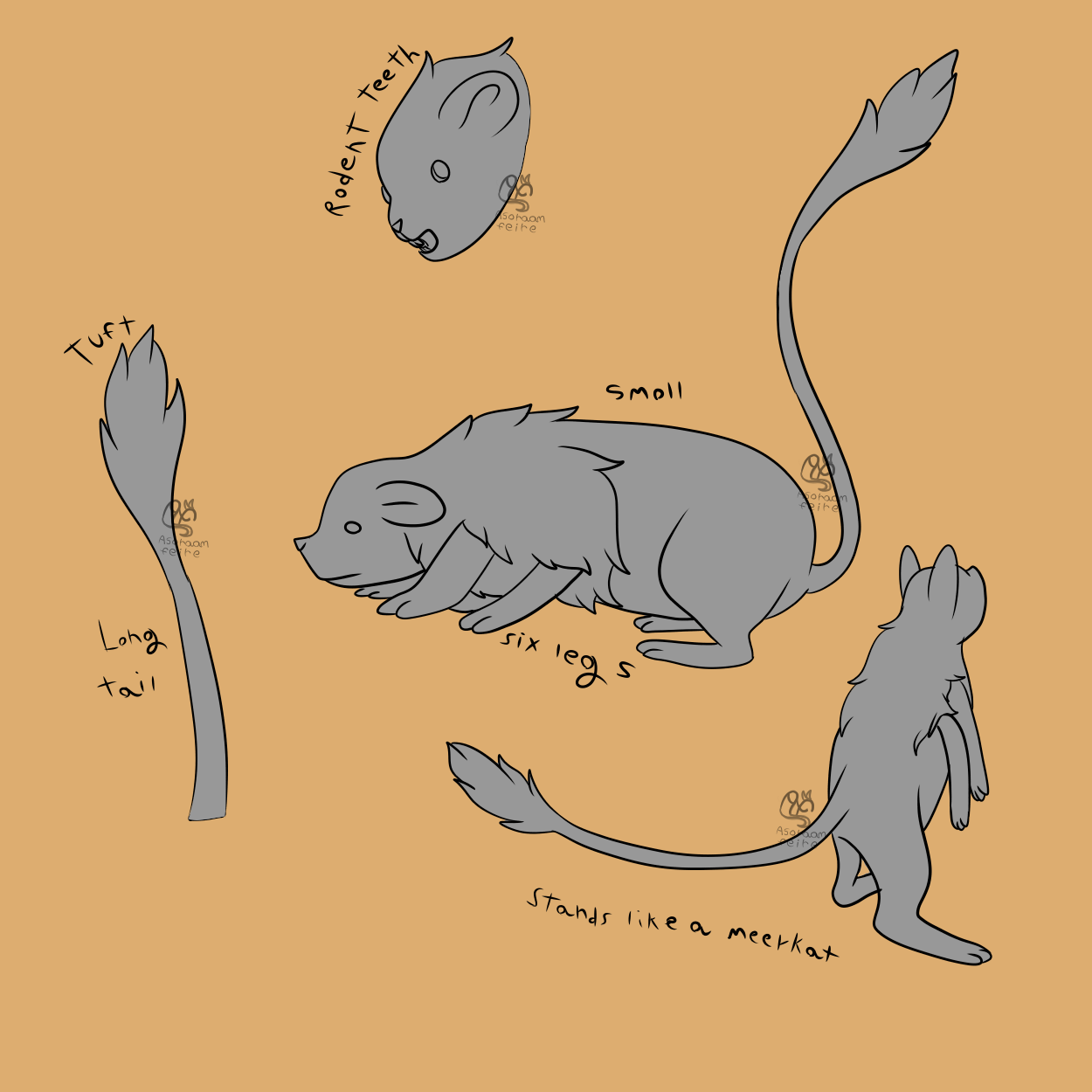Skipper mice visual reference by @Actias – Sheezy.Art