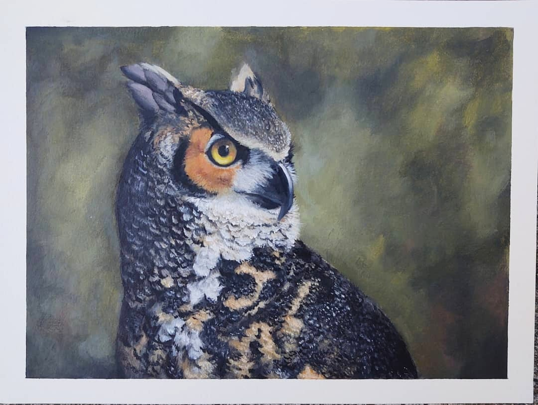 Owl Study in Oil Paint by @Alrxse – Sheezy.Art