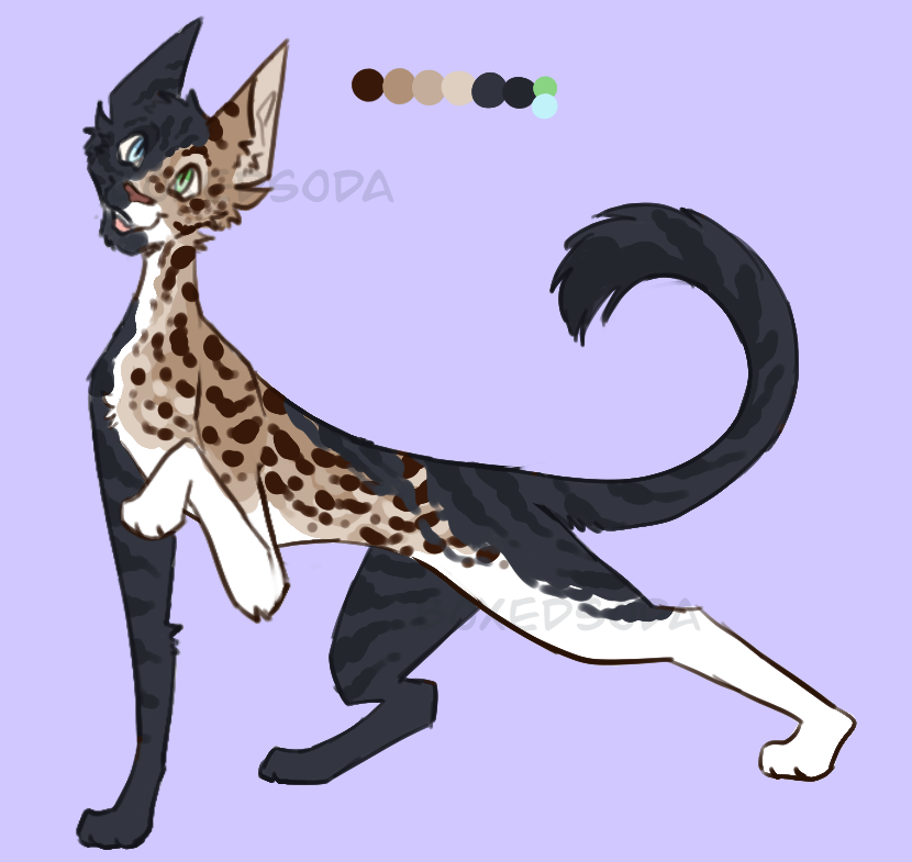 kitty OC by @BoxedSoda – Sheezy.Art