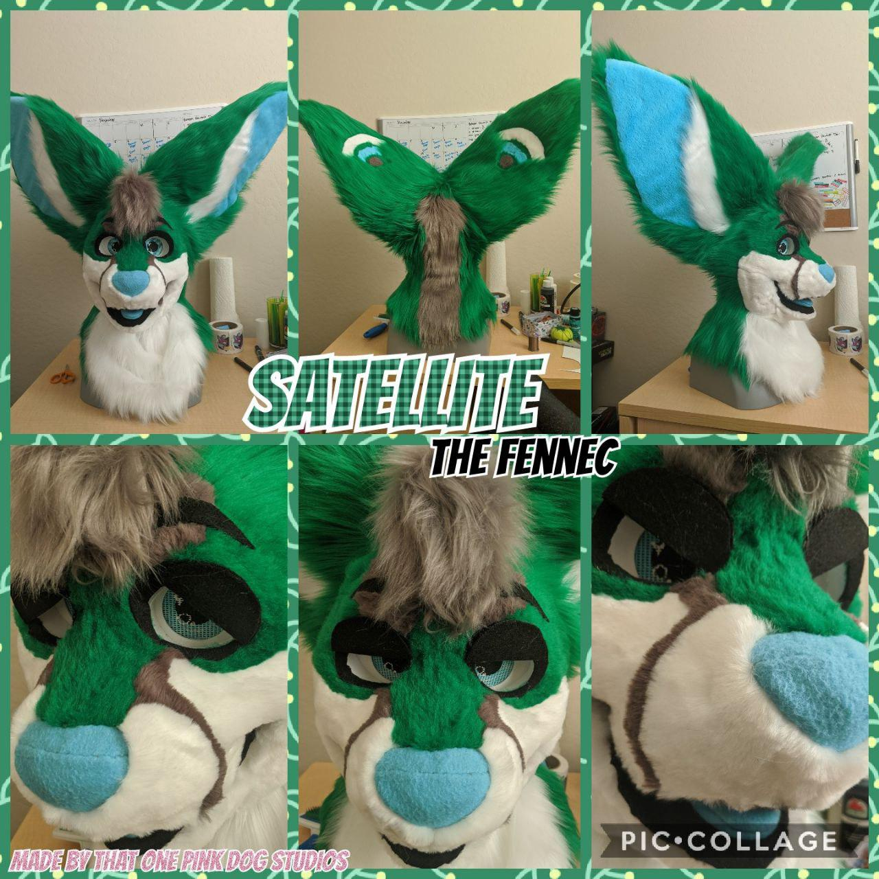 Satellite the Fennec Fox (November 2019) by @CassMutt – Sheezy.Art