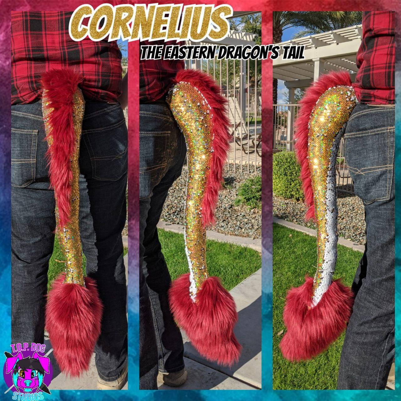 Cornelius the Eastern Dragon - Tail (February 2020) by @CassMutt ...