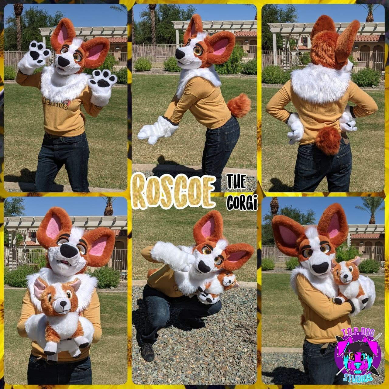 Roscoe the Corgi (September 2021) by @CassMutt – Sheezy.Art