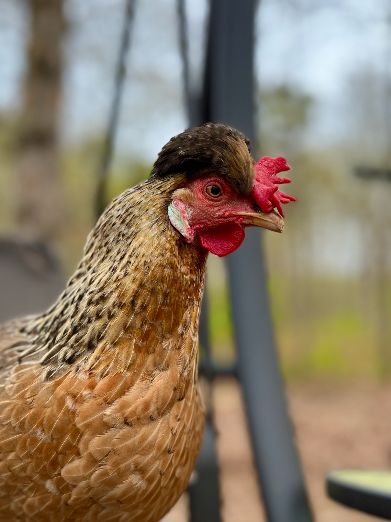 Robyn photography by @DaypeepPlushies – Sheezy.Art