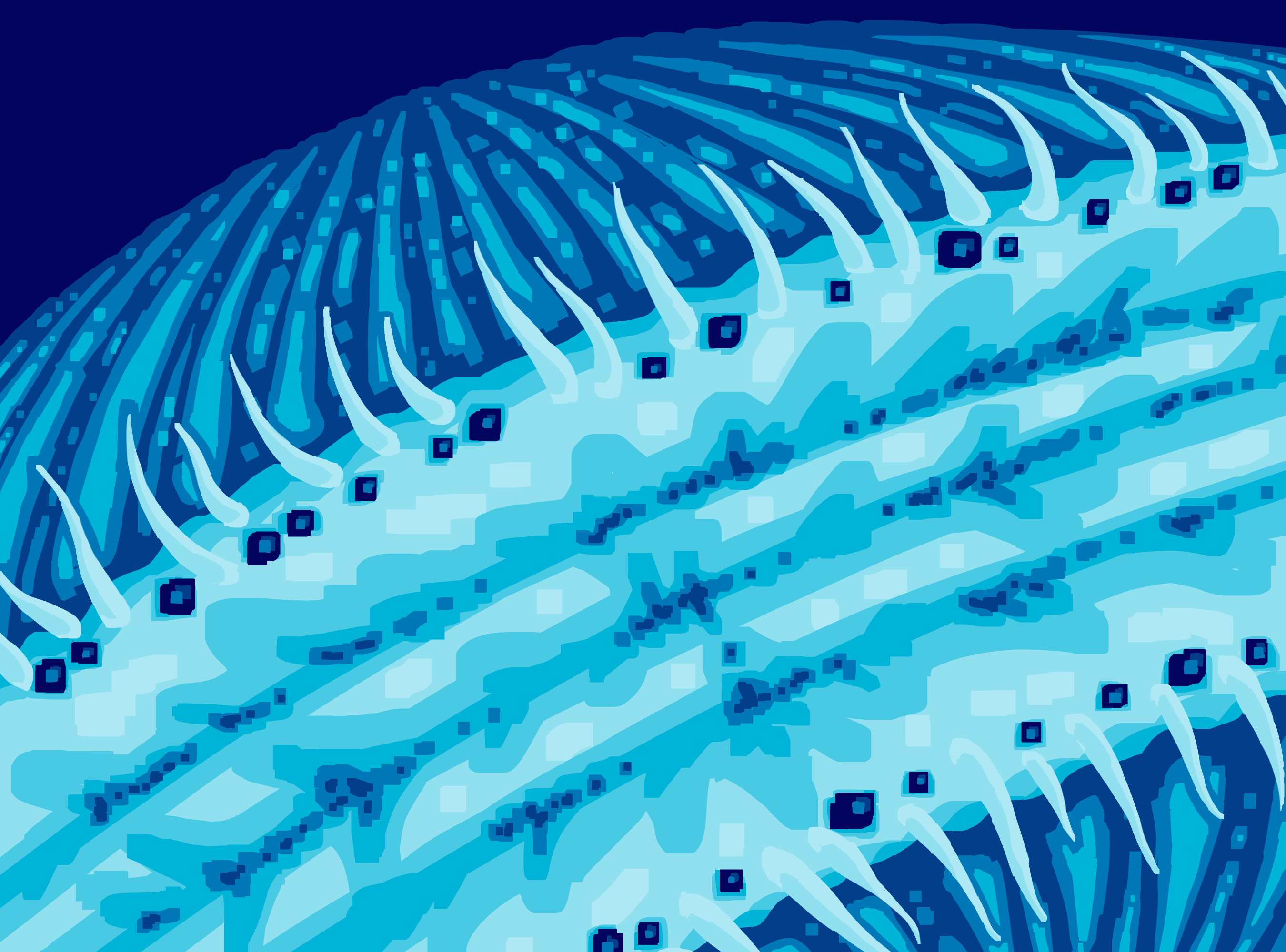 Iceland Scallop by @tarantula-wizard – Sheezy.Art