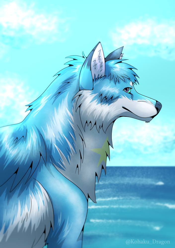 Artfight 19: Starwolf by @Kohaku_Dragon – Sheezy.Art