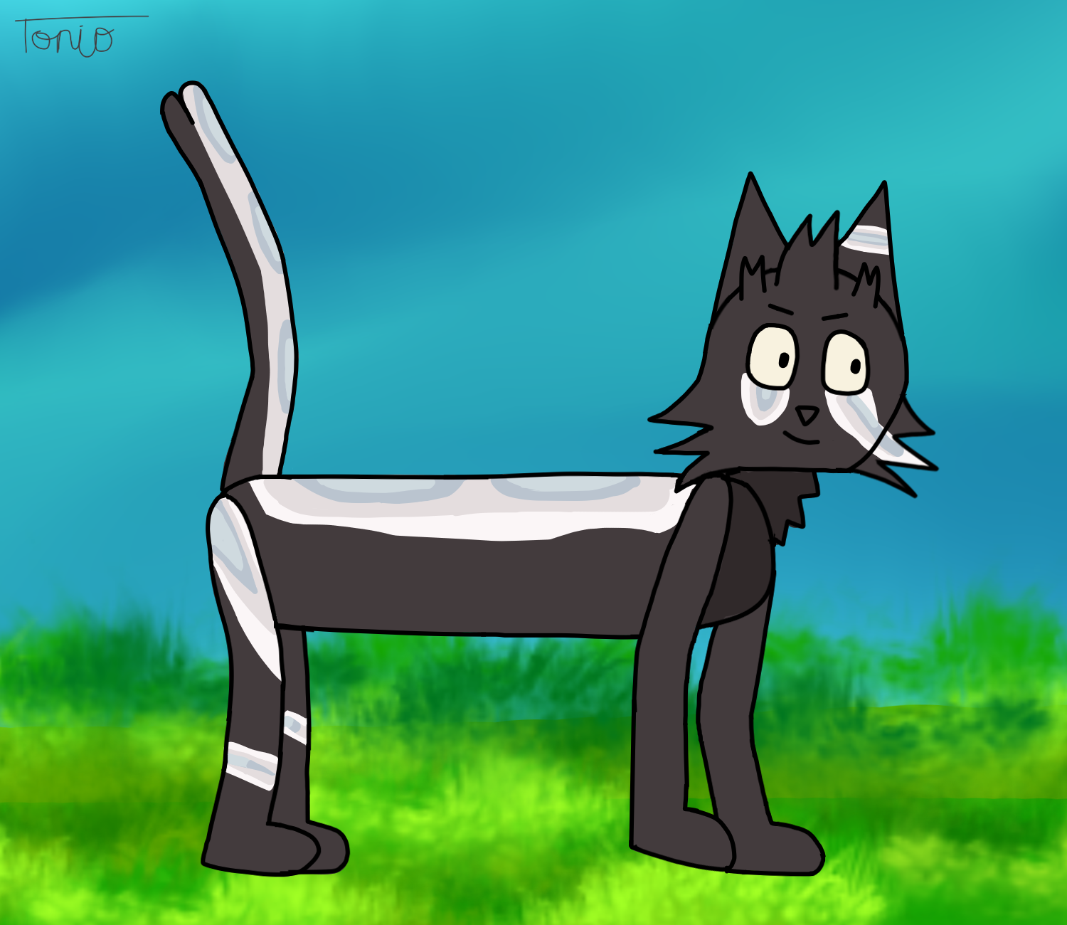 Shadow the Cat by @Tonio0064 – Sheezy.Art