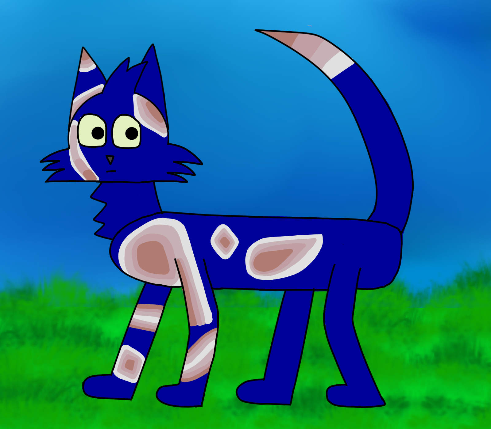 Sparkle the cat by @Tonio0064 – Sheezy.Art