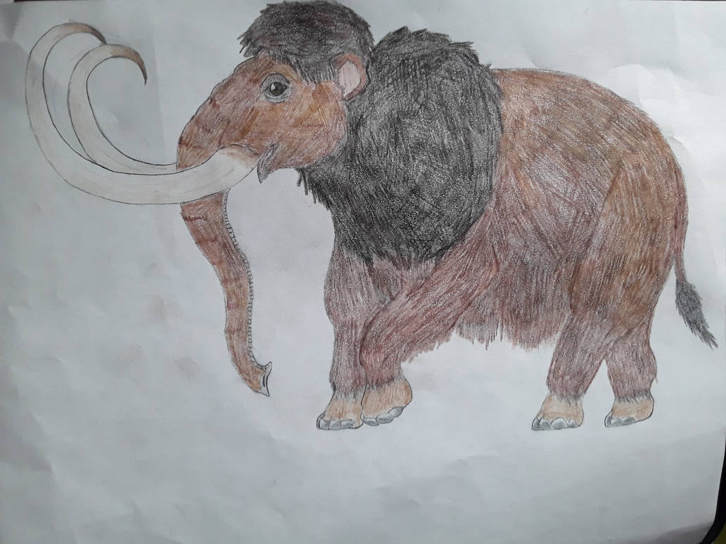 Woolly mammoth by @QuinnAnimallover1756 – Sheezy.Art