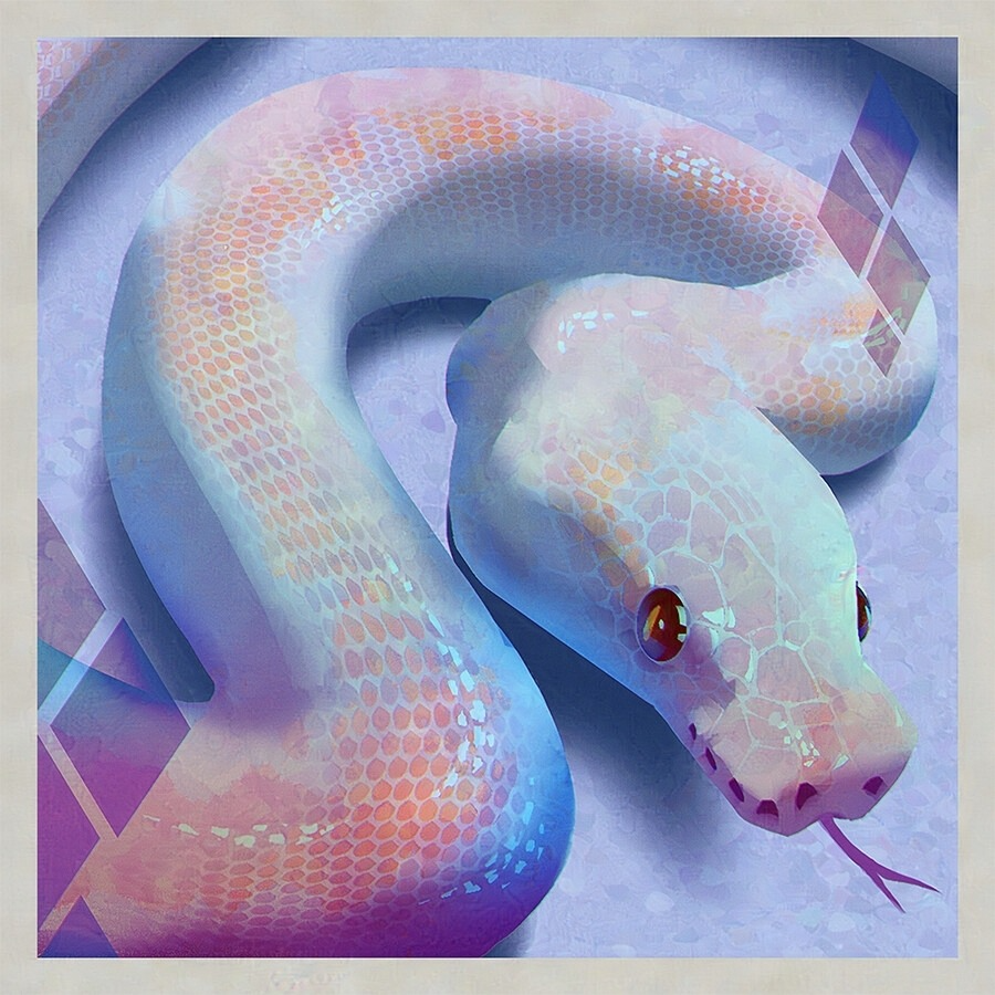 Leucistic Ball Python study. by @Edenwest – Sheezy.Art