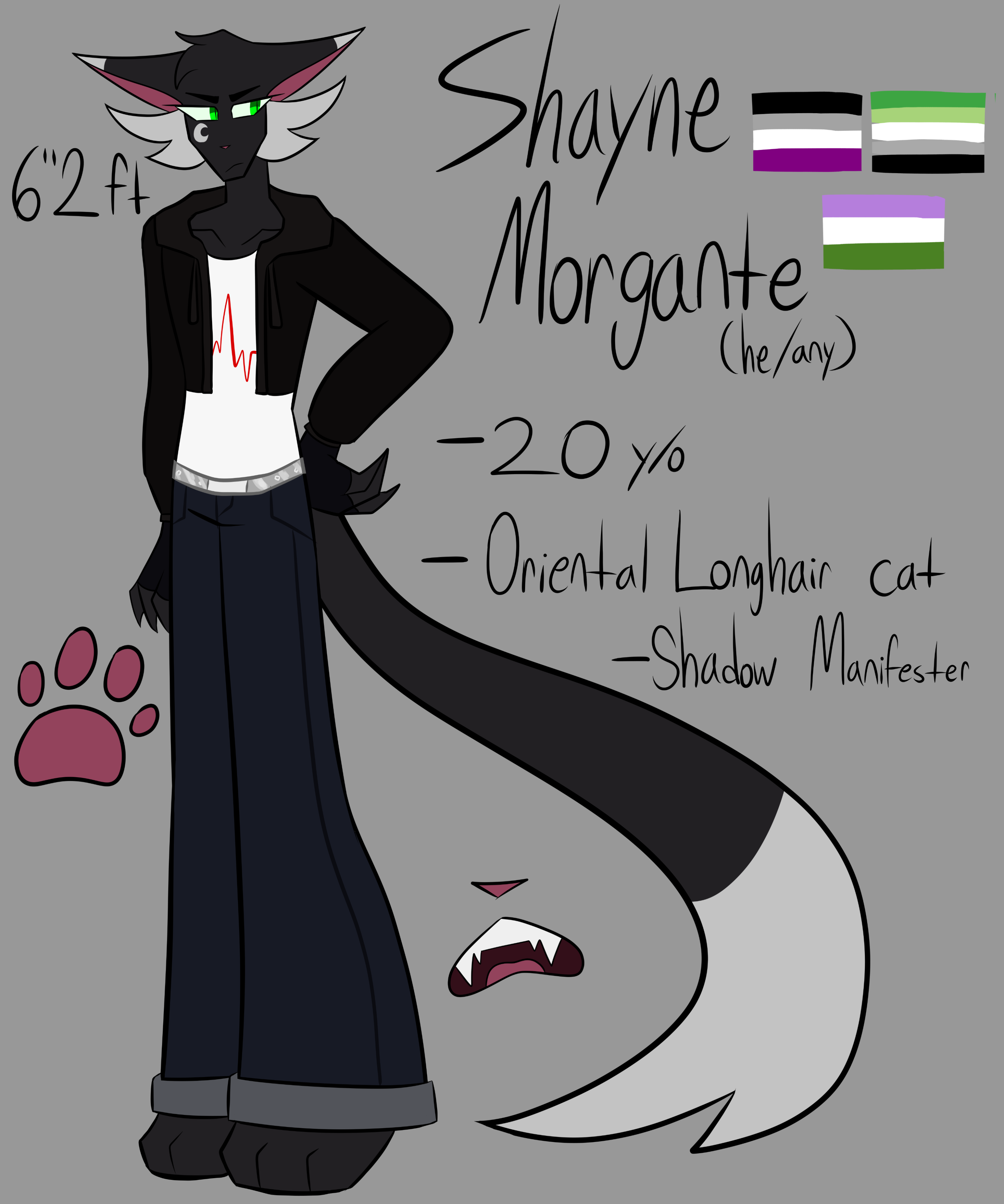 2025 shayne reference sheet!!! by @ghostkitten – Sheezy.Art