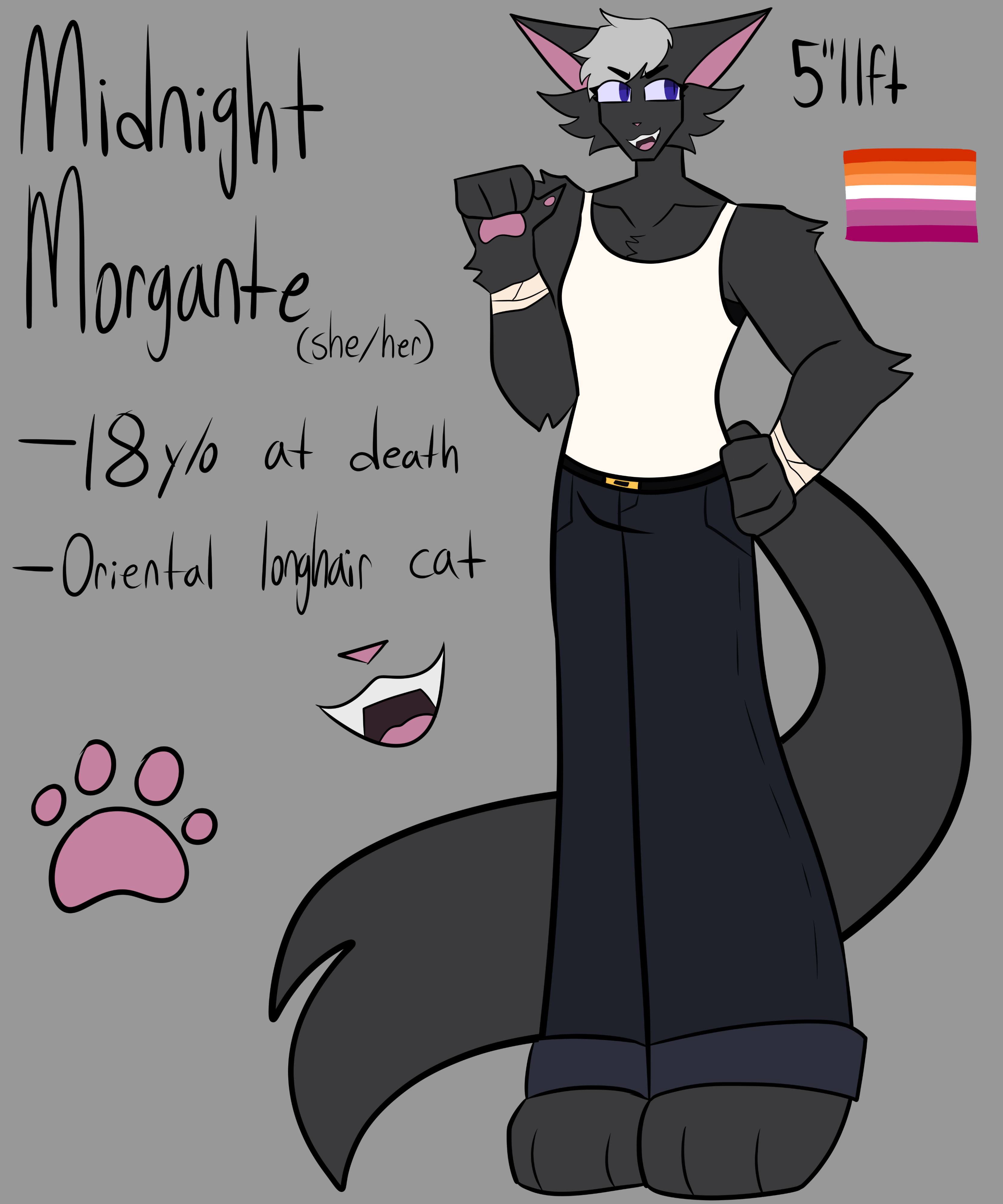 2025 Midnight Ref by @ghostkitten – Sheezy.Art