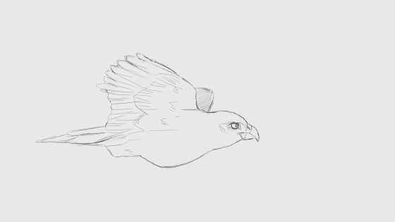 Hawk Animation by @WondersofYears – Sheezy.Art