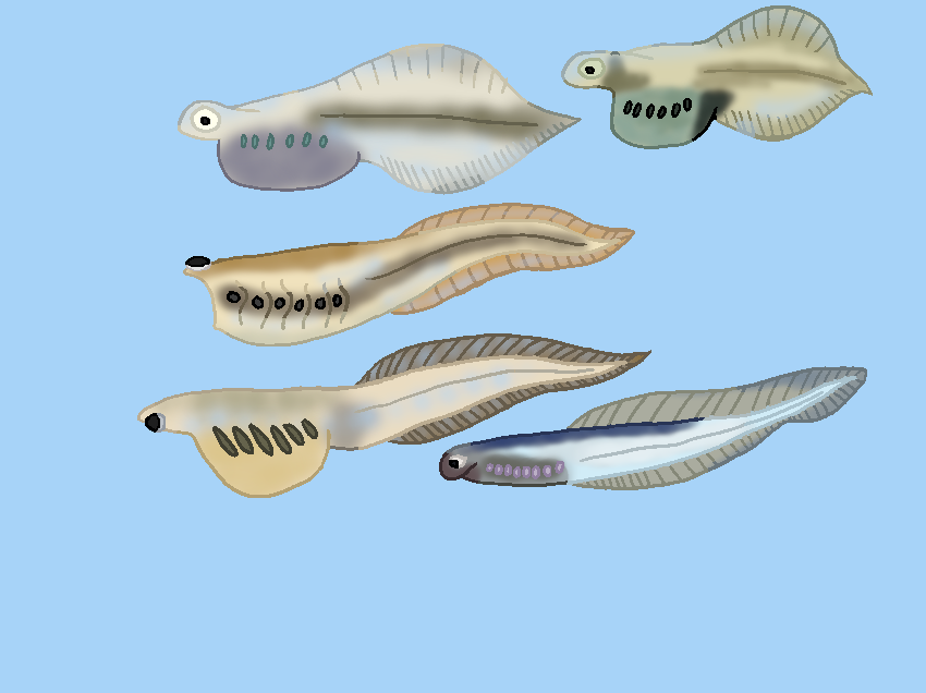Stem Vertebrates: The First Fishes by @TheSirenLord – Sheezy.Art