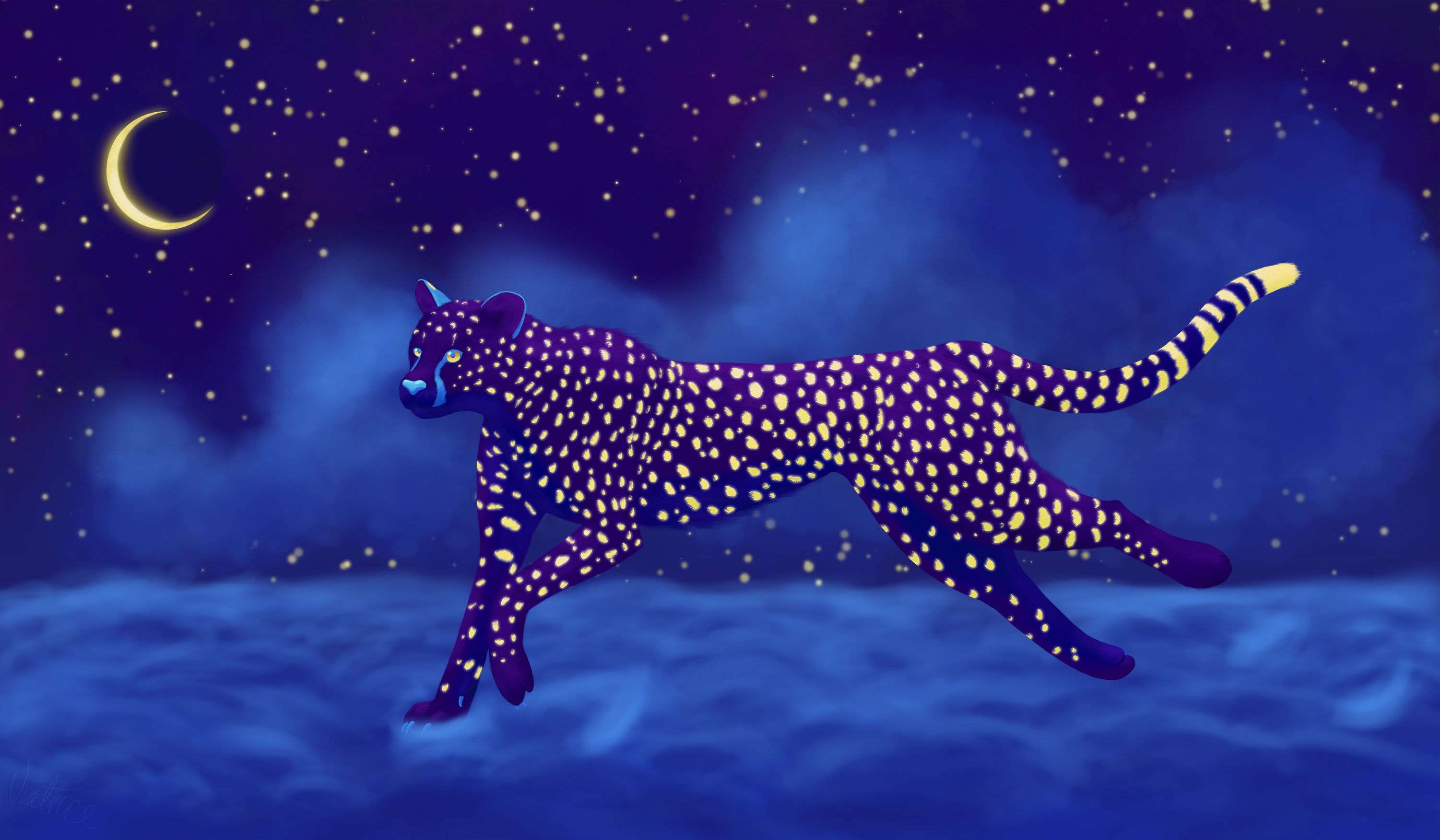Starry Cheetah by @Viatrice – Sheezy.Art